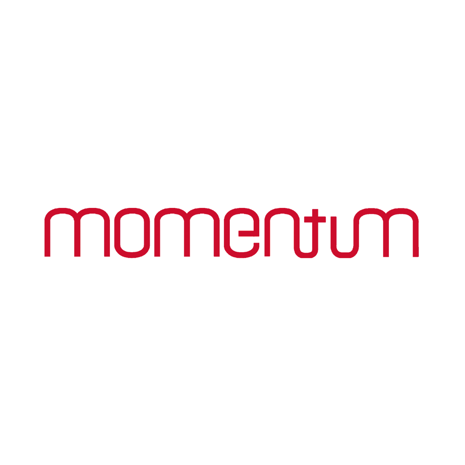 Momentum Dual Mounting Kit For Voya E+ (Rack To Fender) – CCACHE