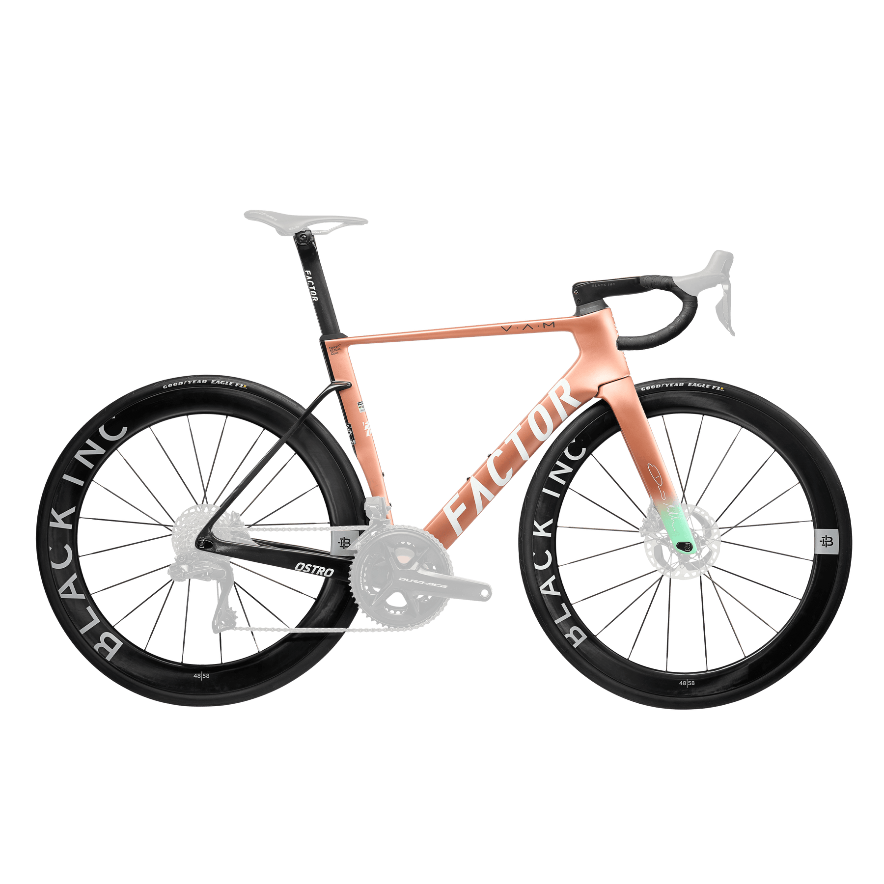 Bikes & Frames – CCACHE